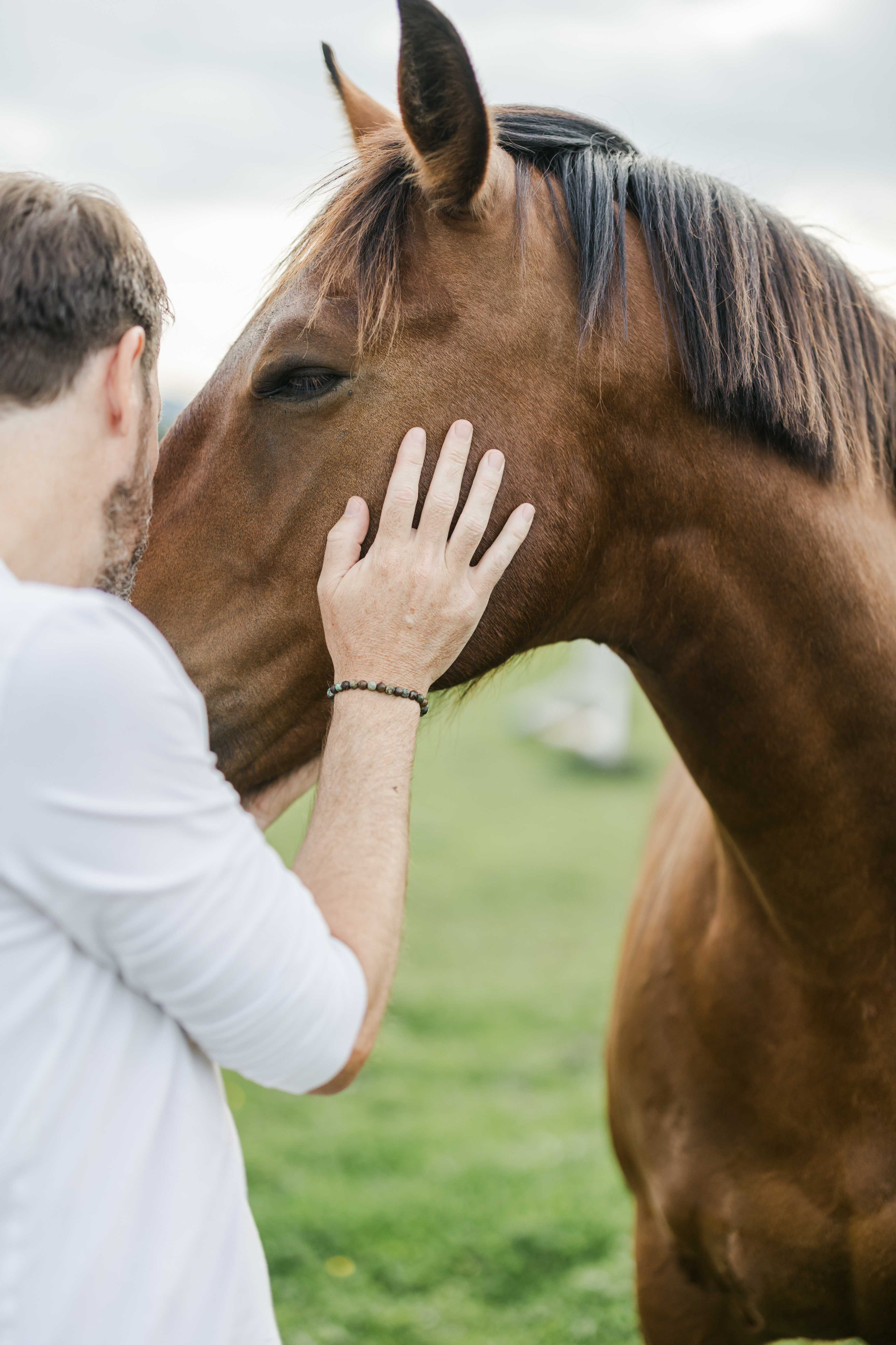 Pranic Healing für Tier - Ananda Flow